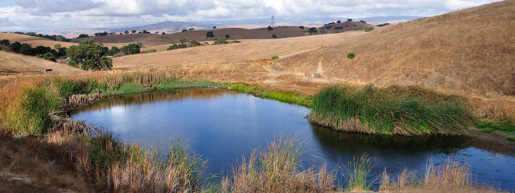 California Votes YES on Prop. 68 - Greenbelt Alliance