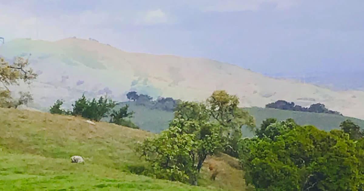 Favorite Bay Area Spots From a Few Friends - Greenbelt Alliance