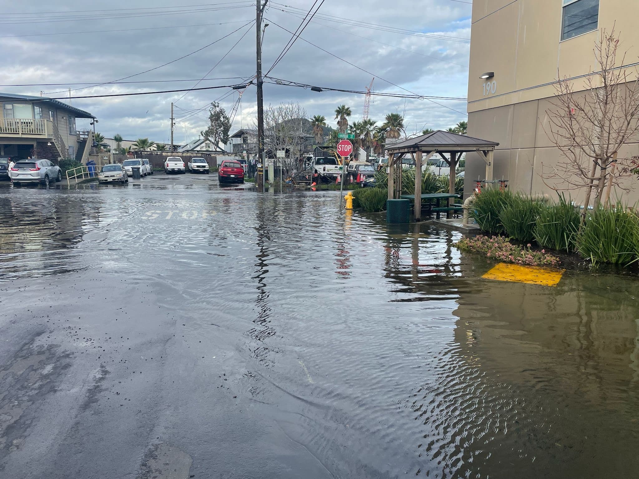 Marin's King Tide Floods Are a Climate Wake-Up Call - Greenbelt Alliance
